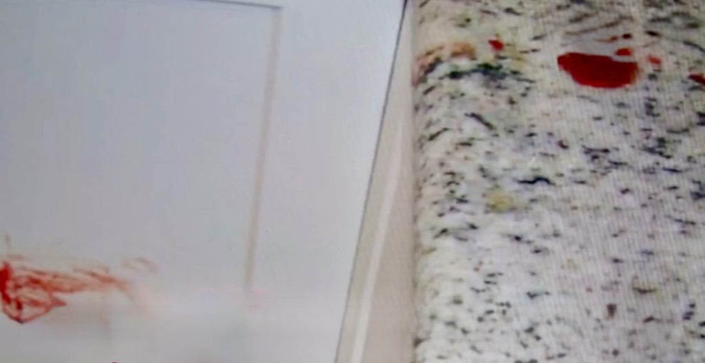 Ellen Greenberg Case Documents